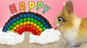 КРОЛИК БАФФИ И ШОКОЛАДНЫЙ ТОРТ ИЗ M&MS ! А ну-ка Давай-ка и Большая вкусняшка