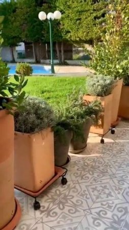 2  Container garden for a townhouse in Kifissia Контейнерный сад для таунхауса в Кифисии