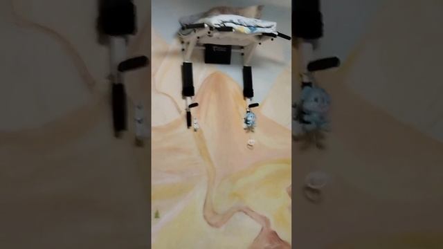 Упражнения на турнике... кошек...прыжки с высоты