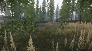 Escape from Tarkov - Винтовка Мосина #3