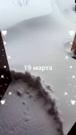 Снег в Каменском 19 марта