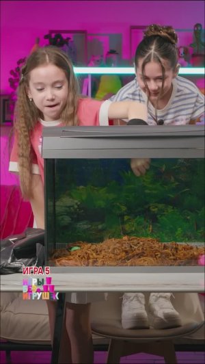 Игры Без игрушек 5 уже в сети! Смотри и болей за проигравшего, ему нужно достать мячики из червей