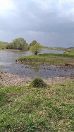 Гуляем на свежем воздухе вдоль реки Клязьма в Подмосковье