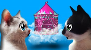КОТЯТА И ВОЛШЕБНЫЙ ДОМ в ДОМЕ! КОТ МАЛЫШ и КОТЕНОК МУРКА играют в ГИГАНТСКОМ ДОМЕ! А ну-ка давай-ка
