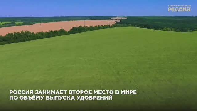 25 поводов для гордости: Россия – мировой лидер на рынке удобрений