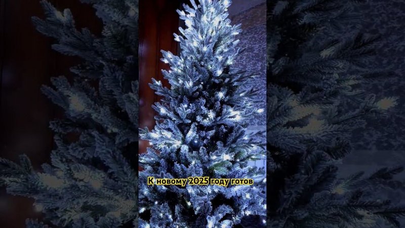 Сбылась маленькая мечта #новыйгод #тренды