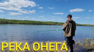 ПРОГУЛЯЛСЯ С УДОЧКОЙ ПО РЕКЕ ОНЕГА
