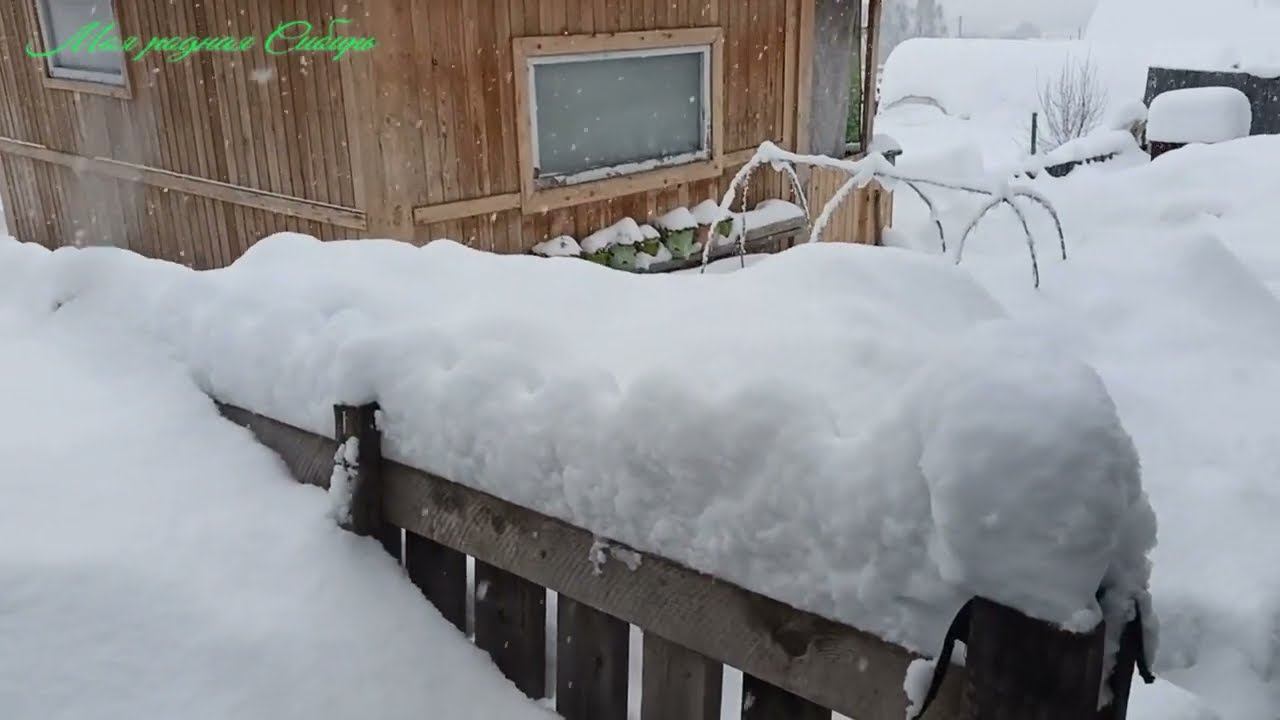 Зима в Сибири, январь.