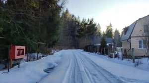 АНАСТАСИЯ. Если я подобрал птицу. Выпуск птиц