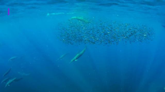 Own it 4 Start_it_4_1