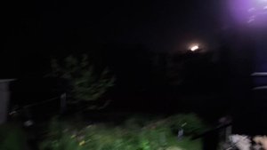 Картошка, мошки и забор