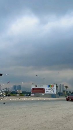 Enjoying the cloudy weather at Fujairah Corniche