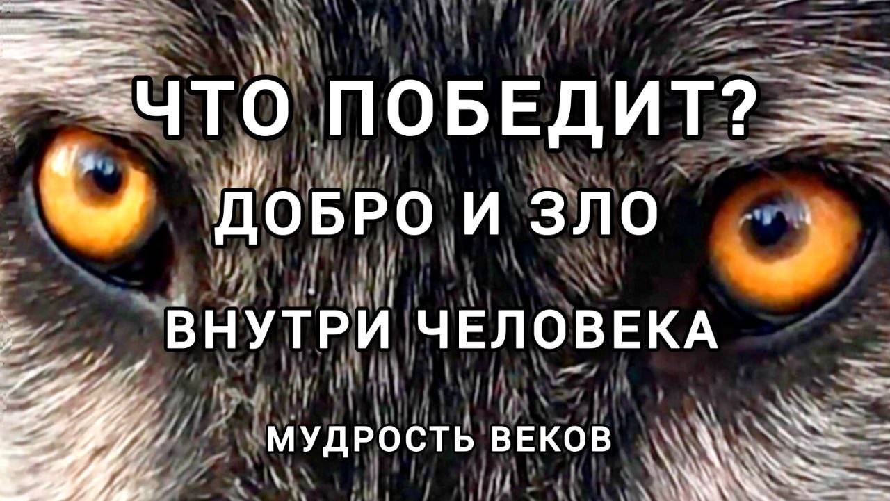 МУДРАЯ  #Притча о ДОБРЕ и ЗЛЕ. Борьба двух волков