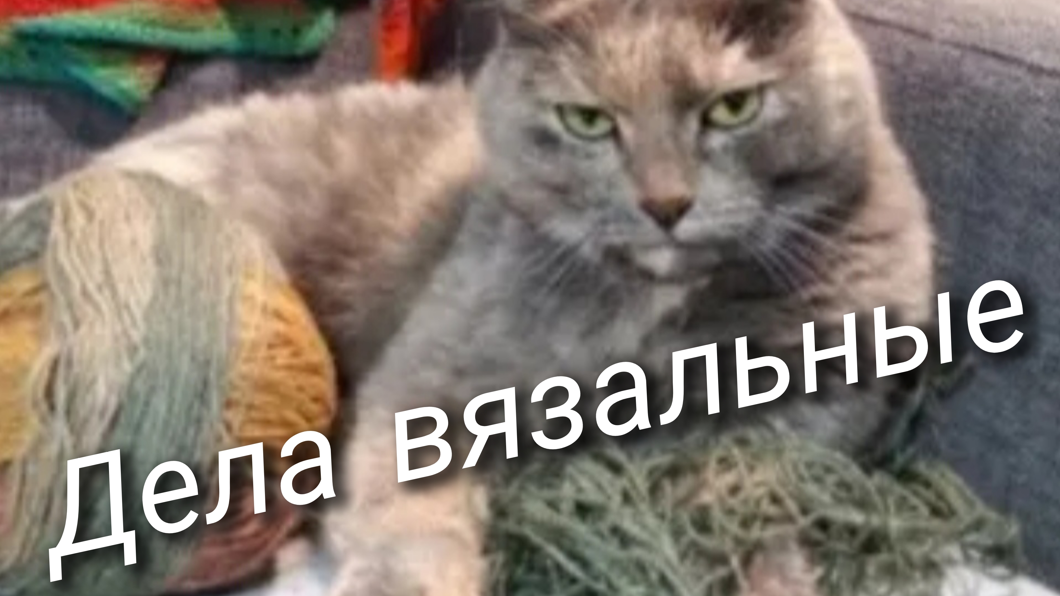 Чем занимаюсь ⚡Носки потихоньку отпускают😊Кое какие задумки🤔Архив