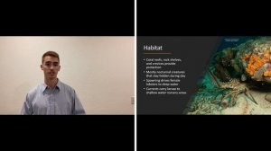 Spiny Lobster Group Informative Speech 1