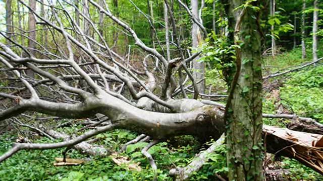 По следам войны /авт. песня/