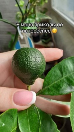 Признавайтесь, у кого так же? 😁