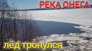 РЕКА ОНЕГА ЛЕДОХОД