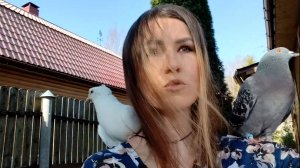 АНАСТАСИЯ. Если вы подобрали птицу. Часть 6