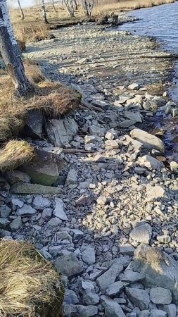Сбросили уровень воды