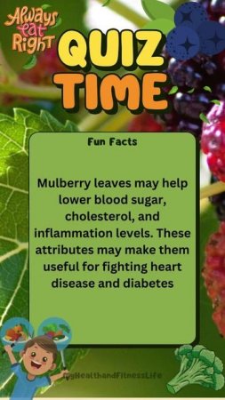 Harnessing the Power of Mulberry Leaves for Diabetes Management #quiz #DiabetesManagement