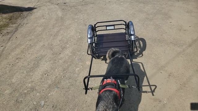 Третий выезд на прицепе для собак Мухтар 1 часть