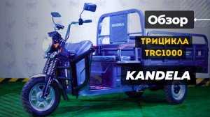 Технический обзор трицикла TRC1000
