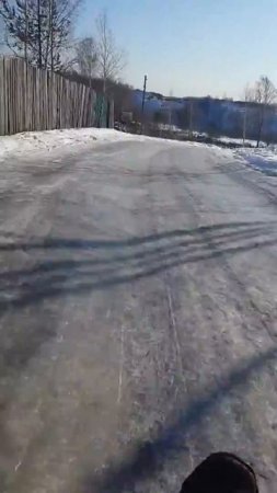 Бобслей на санях