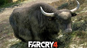 ЯКИ,КО МНЕ,К ПАПОЧКЕ | ОХОТА В ФАР КРАЙ 4 НА ШКУРЫ | ПРОХОЖДЕНИЕ FAR CRY 4 БЕЗ КОММЕНТАРИЕВ