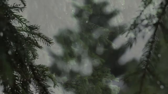 Звуки дождя