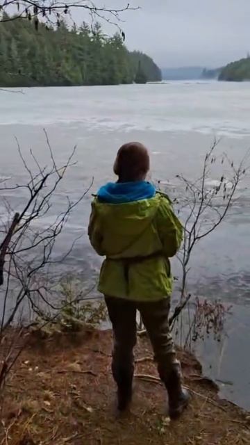 На просторах Онтарио, Алгонкин парк, Канада, Апрель 2025.