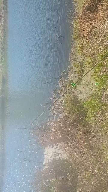 апрельская рыбалка