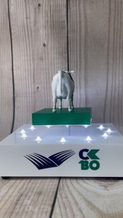 Левитирующая корова
