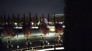 21.11.2020 Кипарисы на верху спирали
