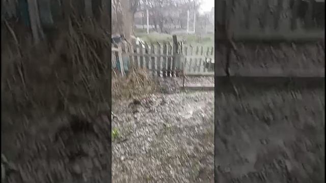 1000027613.mp4
