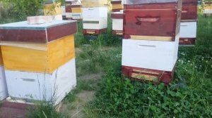 51  Dezorientat dupa control. 16 05 2019