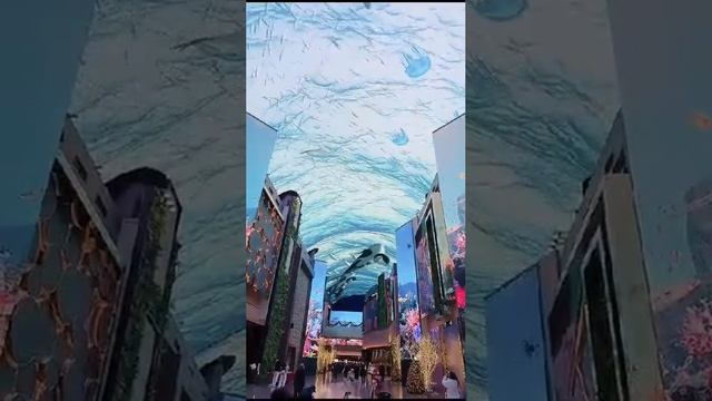 КРАСОТА СПАСЕТ МИР