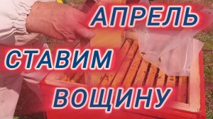 Апрель.Ставим вощину.