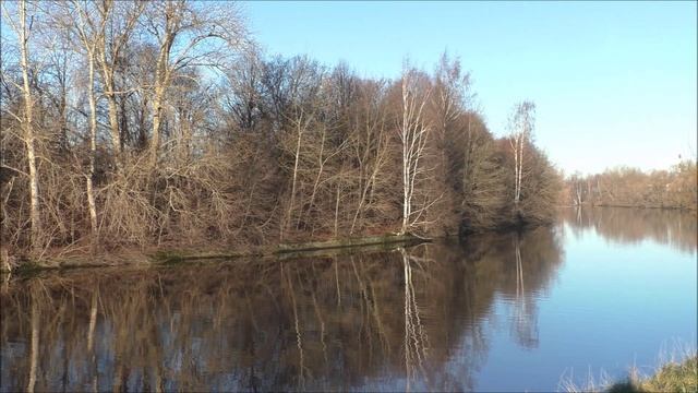 Живое фото. Речка Охта.