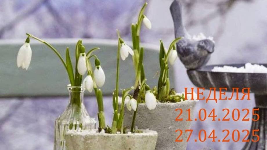⭐ ПРОГНОЗ НА НЕДЕЛЮ С 21.04.2025 ПО 27.04.2025 ⭐ Контакты floransia@yandex.ru