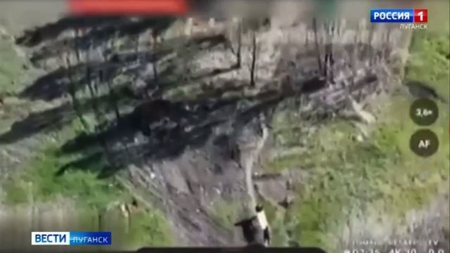 Прямое включение о пасхальном перемирии