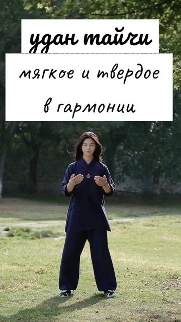 Удан Тайчи