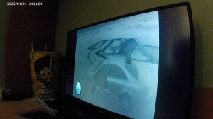 что если в гта 4 ехать по встречке
