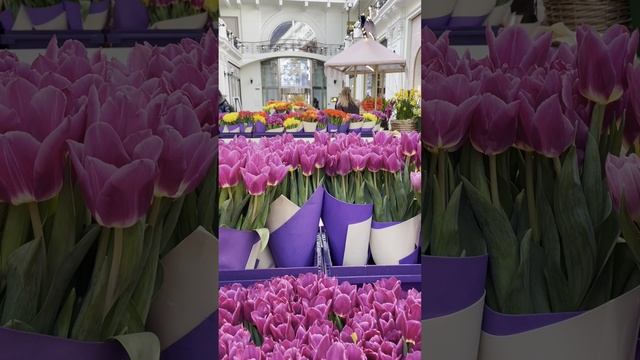 ТЫСЯЧИ ТЮЛЬПАНОВ В "ПЕТРОВСКОМ ПАССАЖЕ"!