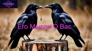 ЕГО МЫСЛИ О ВАС. ДВА ВАРИАНТА