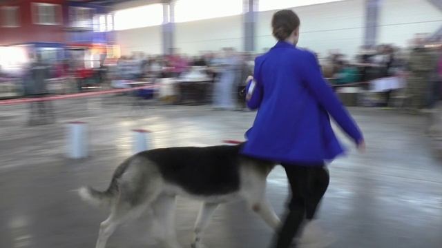 Посейдон из ИДВ