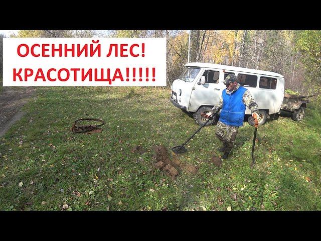 ОСЕННИЙ МЕТАЛЛА КОП,НЕ ДАЛЕКО ОТ ДОМА! ХОРОШИЙ РЕЗУЛЬТАТ ЗА КОРОТКОЕ ВРЕМЯ! ОСЕНЬ, ЛЕС, КРАСОТИЩА!!!