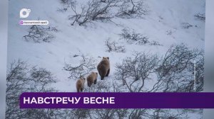 Дальний Восток Блиц / 21.04.25