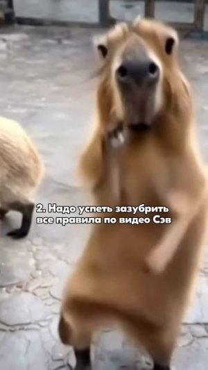 Прошёл ещё один месяц весны, а это значит ТГ: globalee_rus Запись на Курс по Русскому Языку!