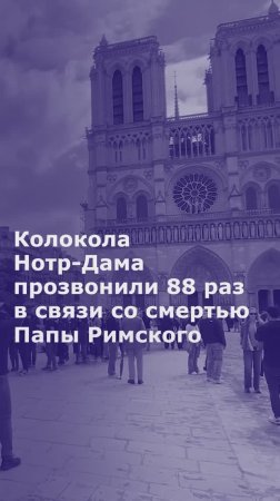Колокола Нотр-Дама прозвонили 88 раз в связи со смертью Папы Римского